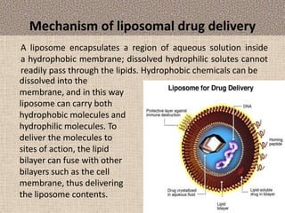 Liposomal drug delivery system | PPTX