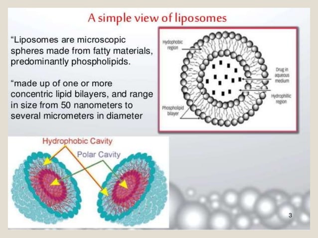 Liposomal drug delivery system | PPTX | Chemistry | Science