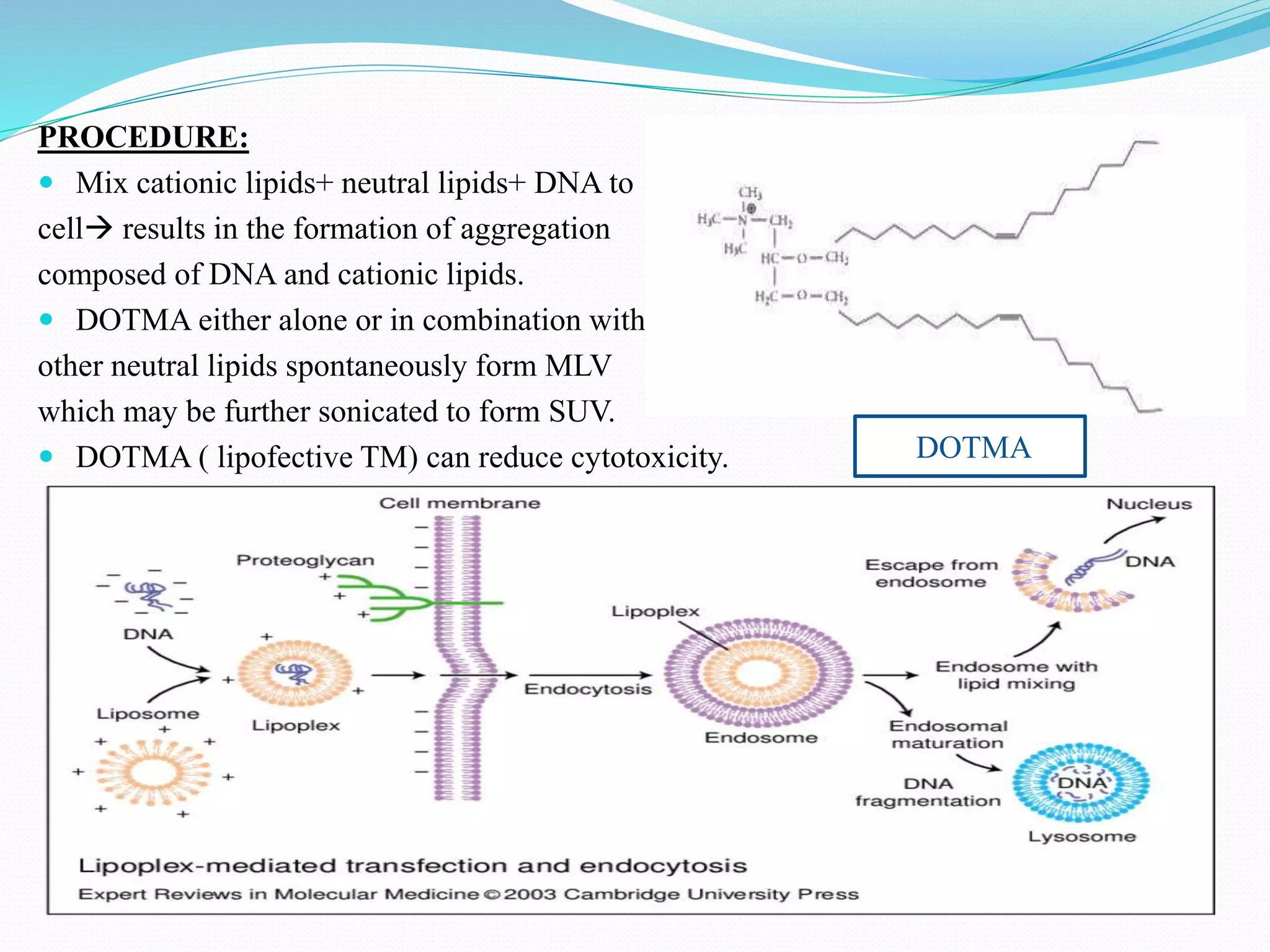 Liposomal gene delivery system | PPTX