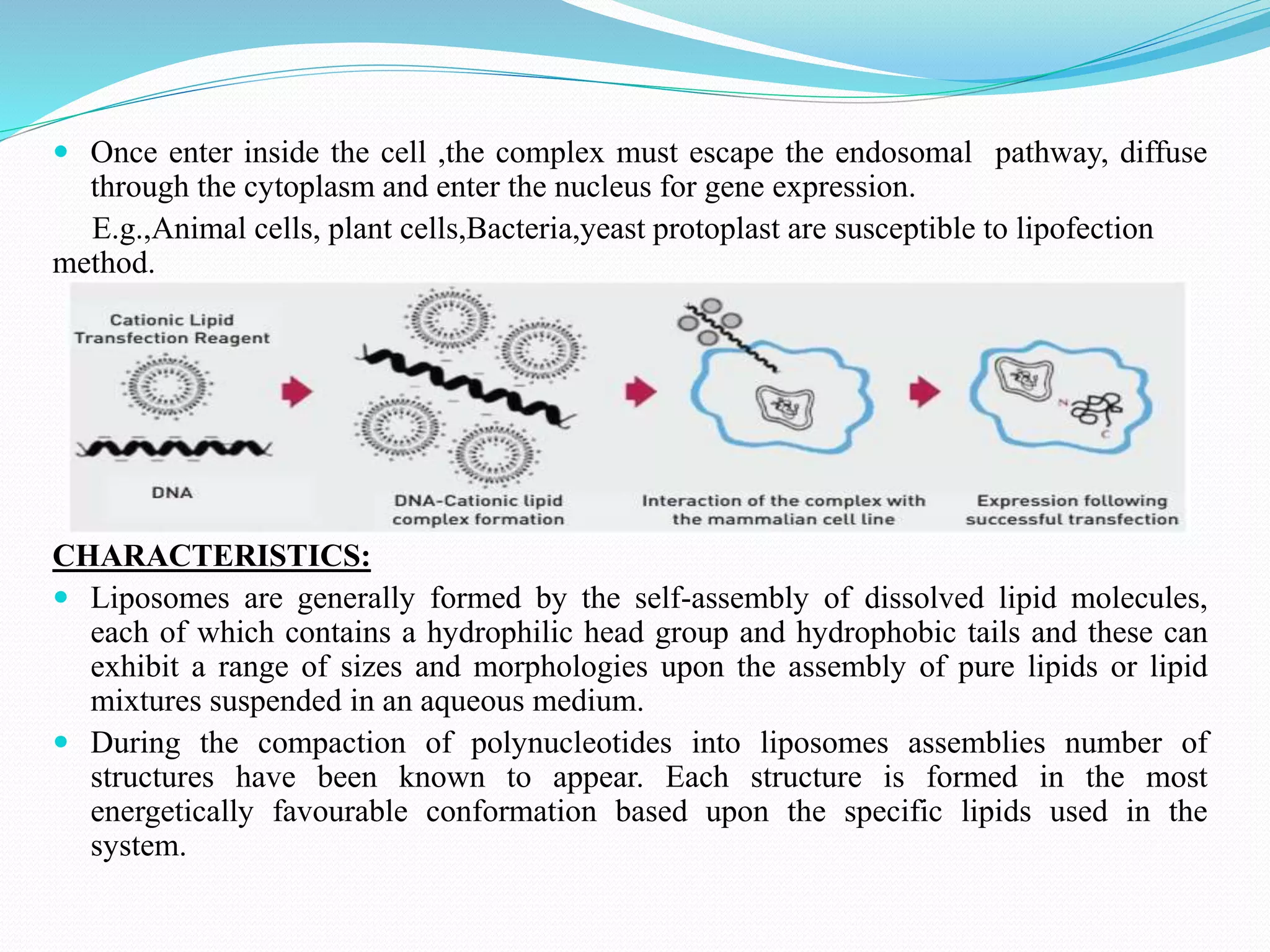 Liposomal gene delivery system | PPTX