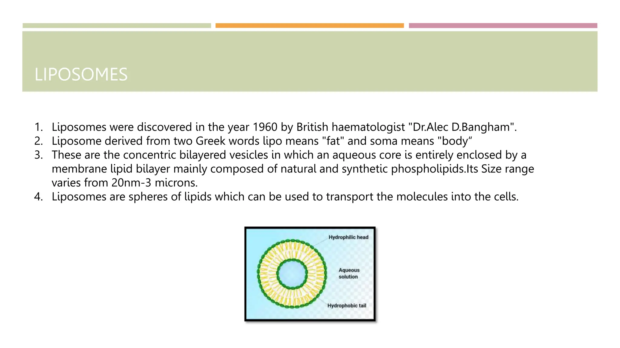liposomal gene delivery system-2024.pptx