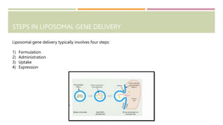 liposomal gene delivery system-2024.pptx