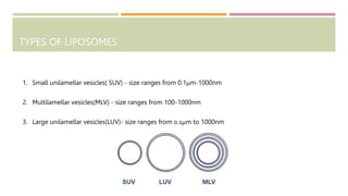 liposomal gene delivery system-2024.pptx