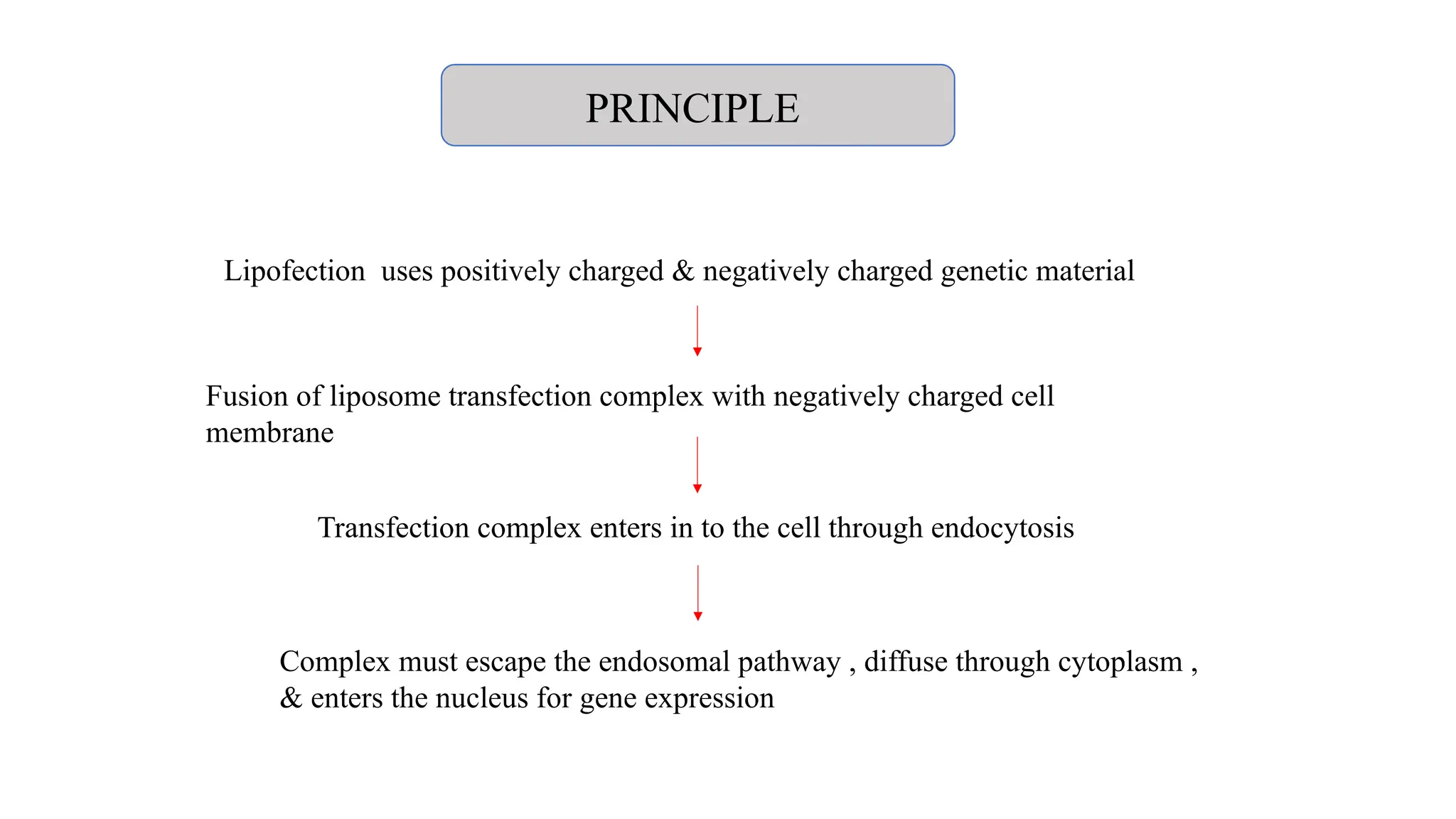 LIPOSOMAL GENE DELIVERY SYSTEM ( MOLECULAR PHARMACEUTICS) | PPTX