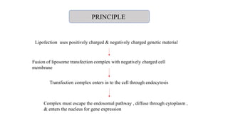 LIPOSOMAL GENE DELIVERY SYSTEM ( MOLECULAR PHARMACEUTICS) | PPT