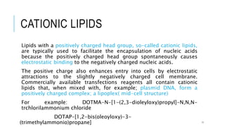 liposomal gene delivery updated.pptx