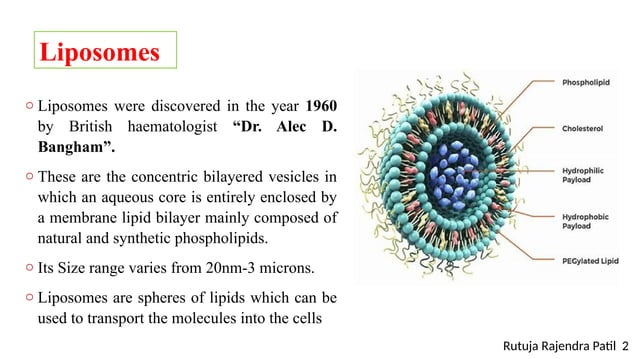 Liposomal Gene Delivery System TDDS.pptx