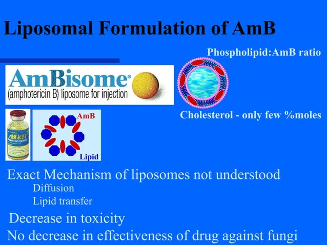 Naotechnology liposomal fat drug delivery | PPT