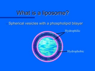 Naotechnology liposomal fat drug delivery | PPT | Pharmaceutical Drugs ...