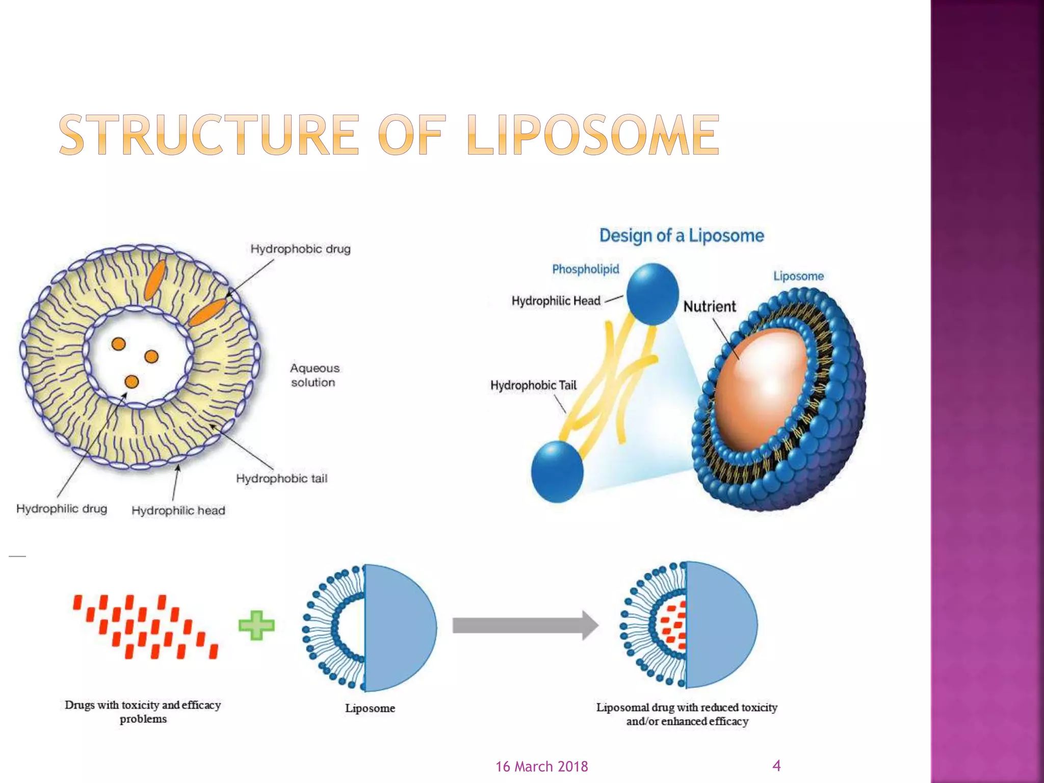 Liposome and Niosome | PPTX