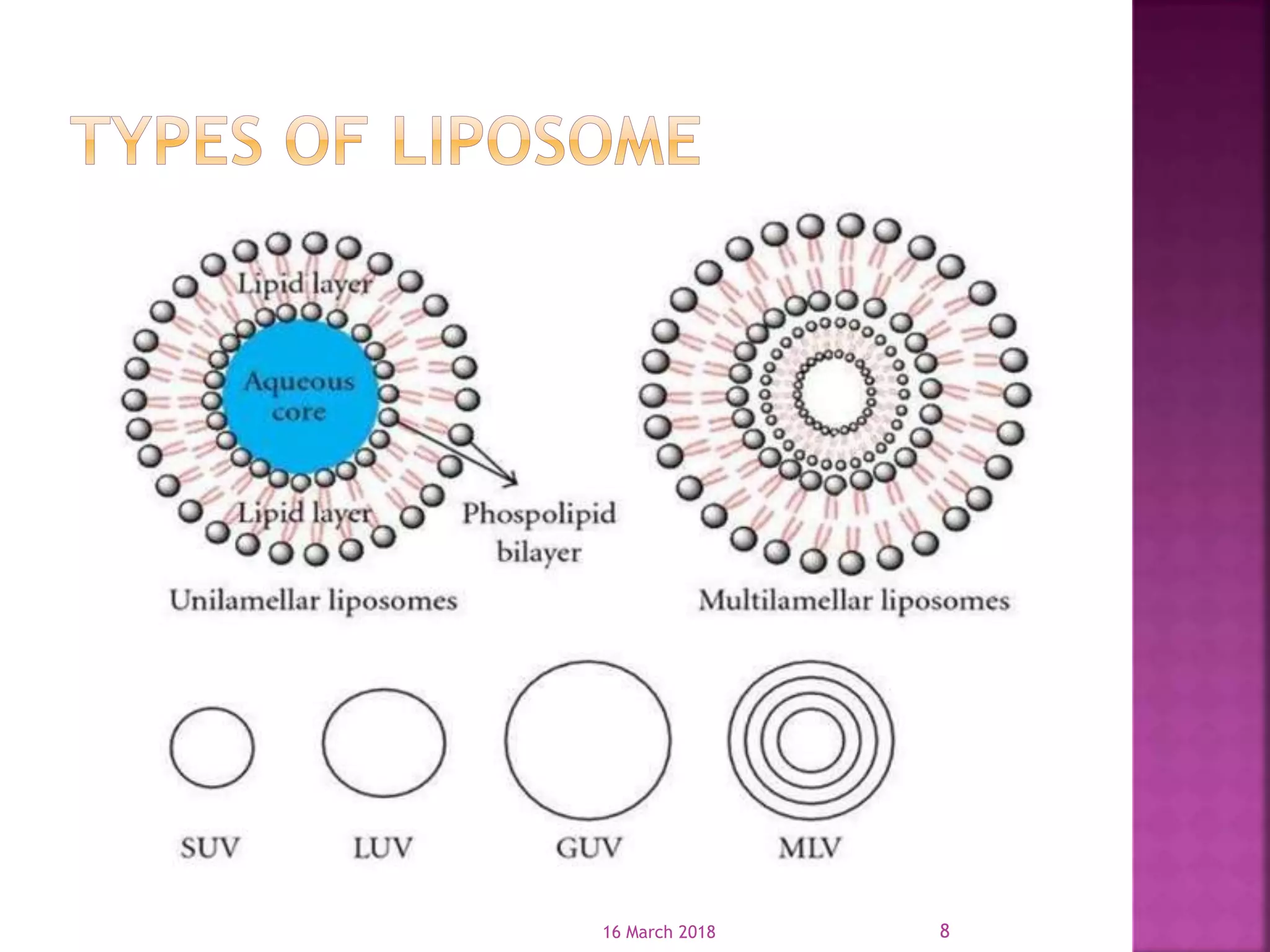 Liposome and Niosome | PPTX