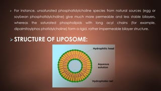 Liposome | PDF