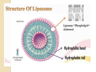 LIPOSOME.pptx