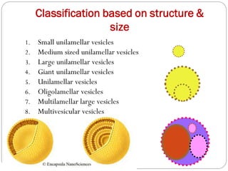 Liposomes detail topic explanation notes | PDF