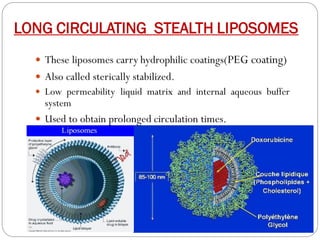Liposomes detail topic explanation notes | PDF
