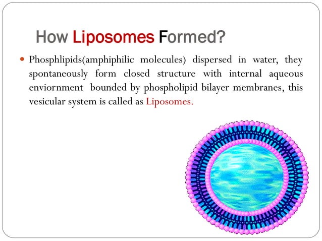 Liposomes detail topic explanation notes | PDF