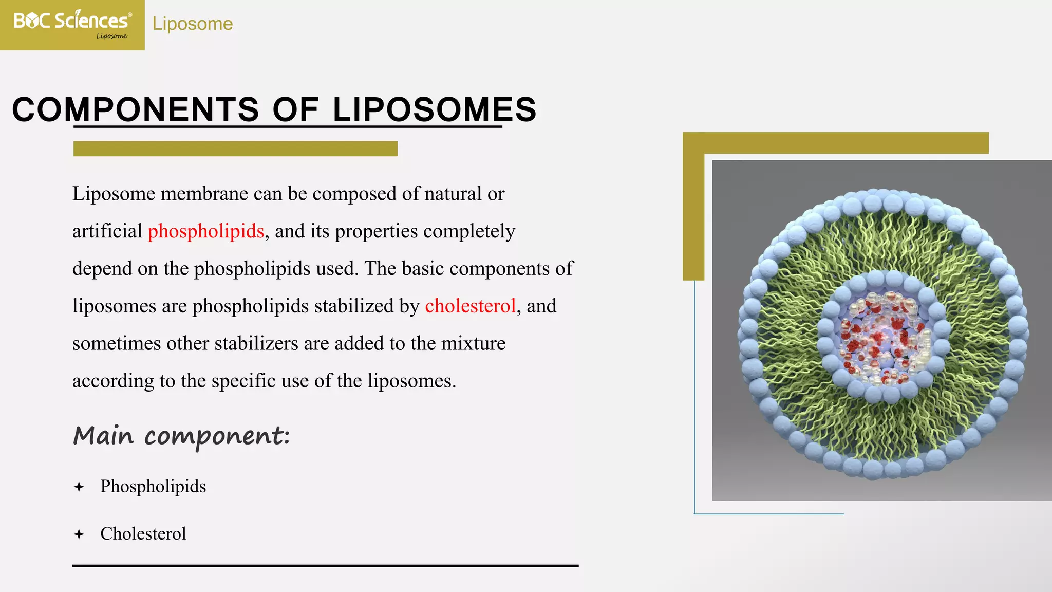 Liposome based drug delivery system-boc sciences | PPT