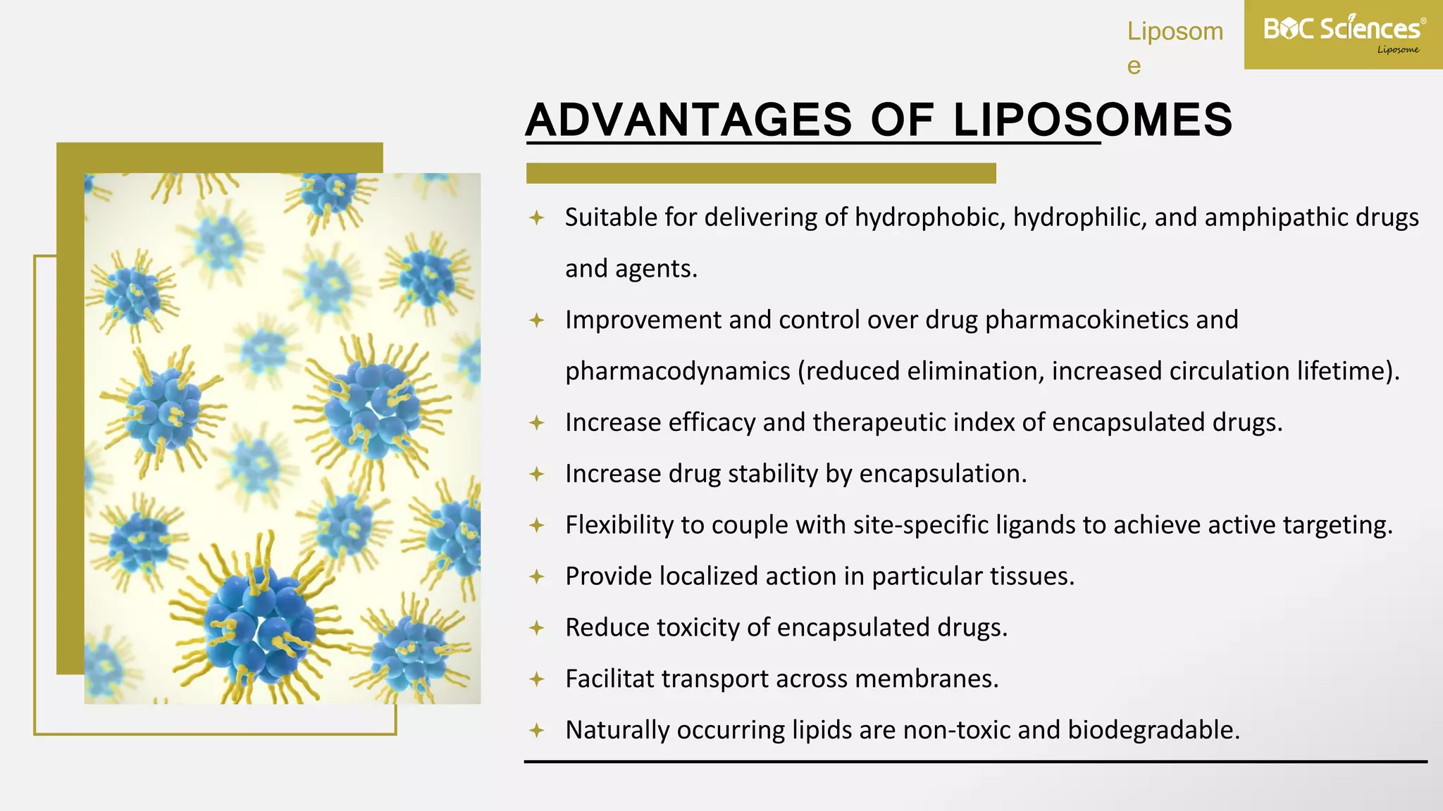 Liposome based drug delivery system-boc sciences | PDF