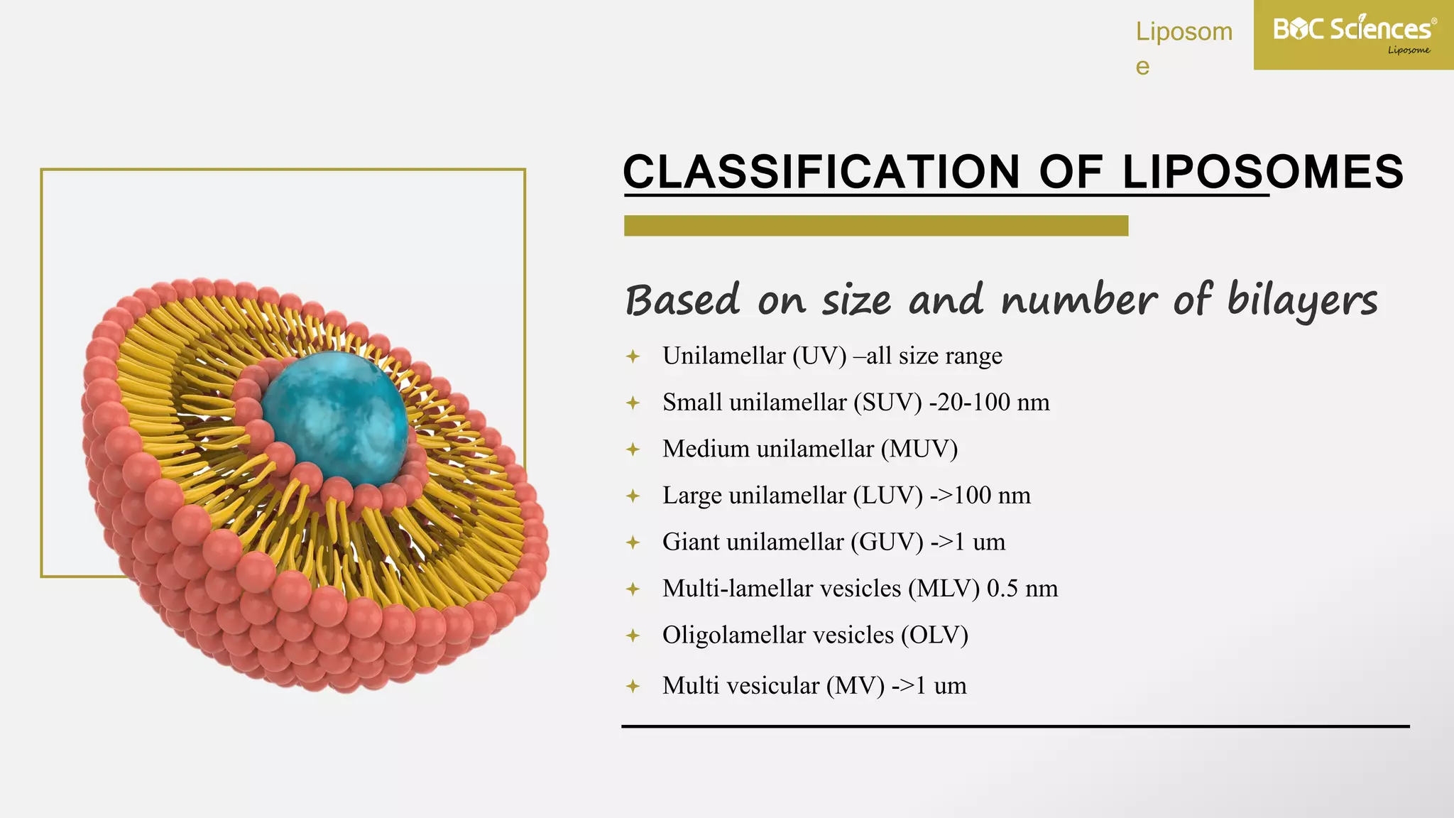 Liposome based drug delivery system-boc sciences | PDF