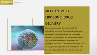 Liposome based drug delivery system-boc sciences | PPT