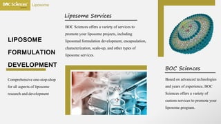 Liposome based drug delivery system-boc sciences | PPT