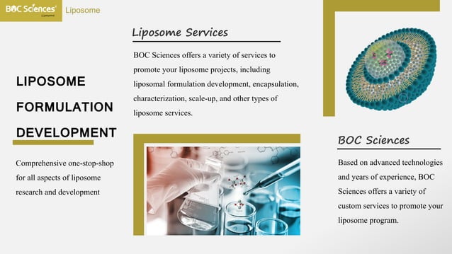 Liposome based drug delivery system-boc sciences | PPT