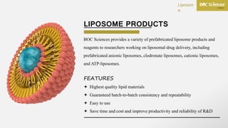 Liposome based drug delivery system-boc sciences | PPT