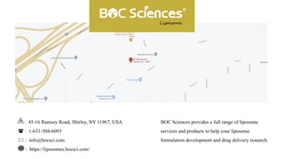 Liposome based drug delivery system-boc sciences | PPT