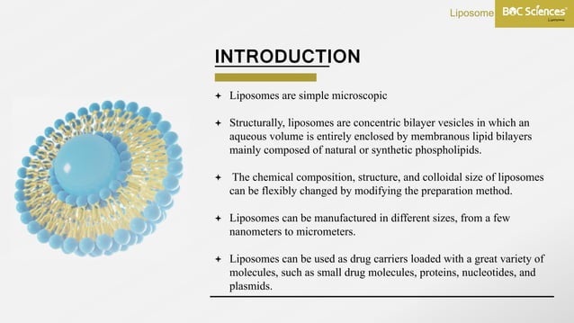 Liposome based drug delivery system-boc sciences | PPT
