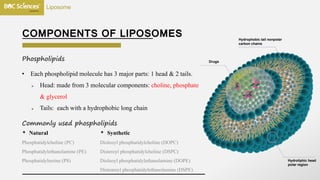 Liposome based drug delivery system-boc sciences | PDF