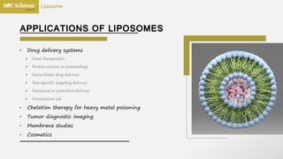 Liposome based drug delivery system-boc sciences | PPT