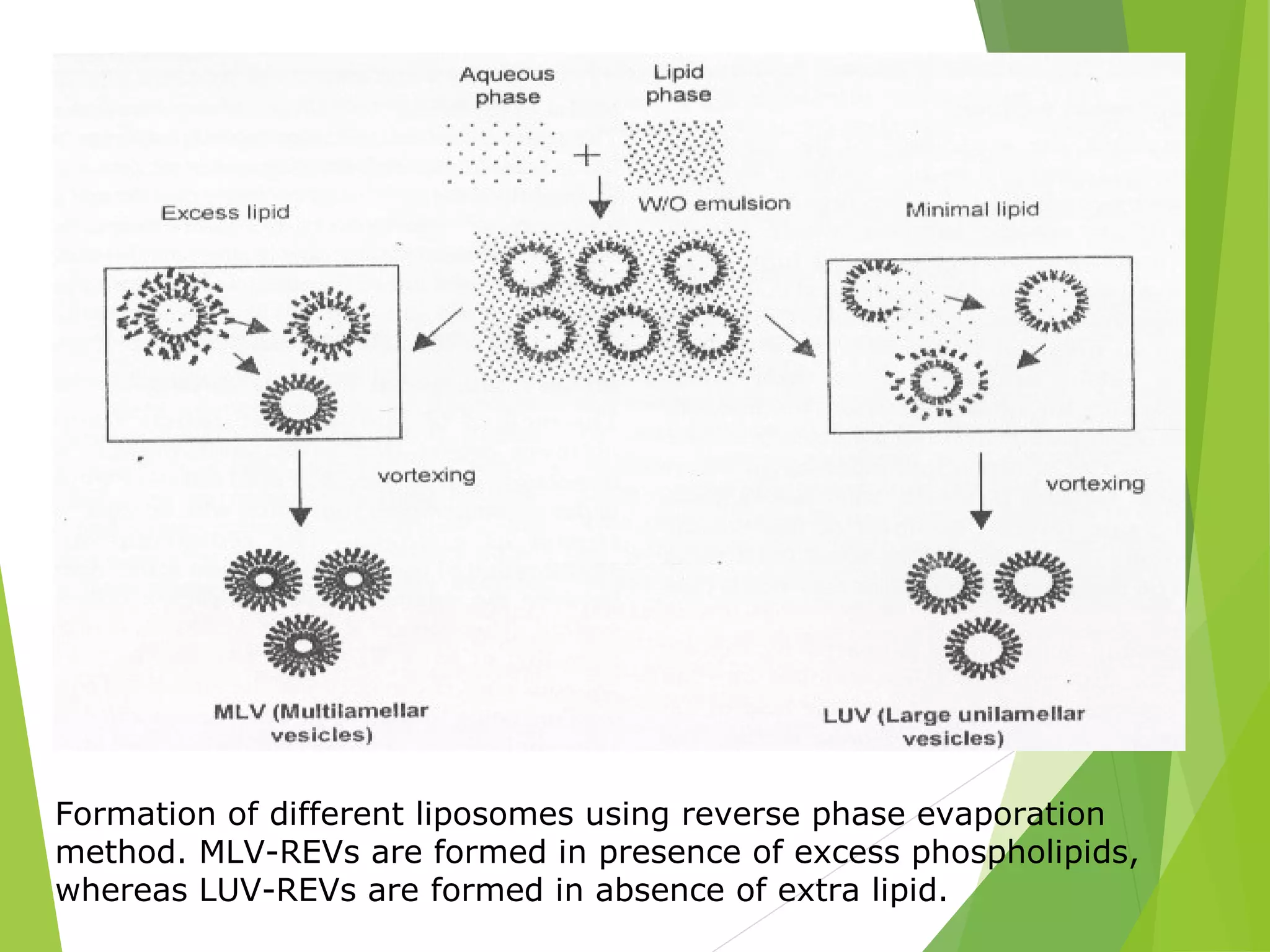 Liposome and niosomes | PPT