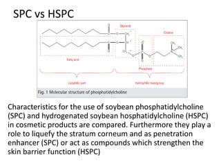 Liposome, a novel delivery system | PPTX