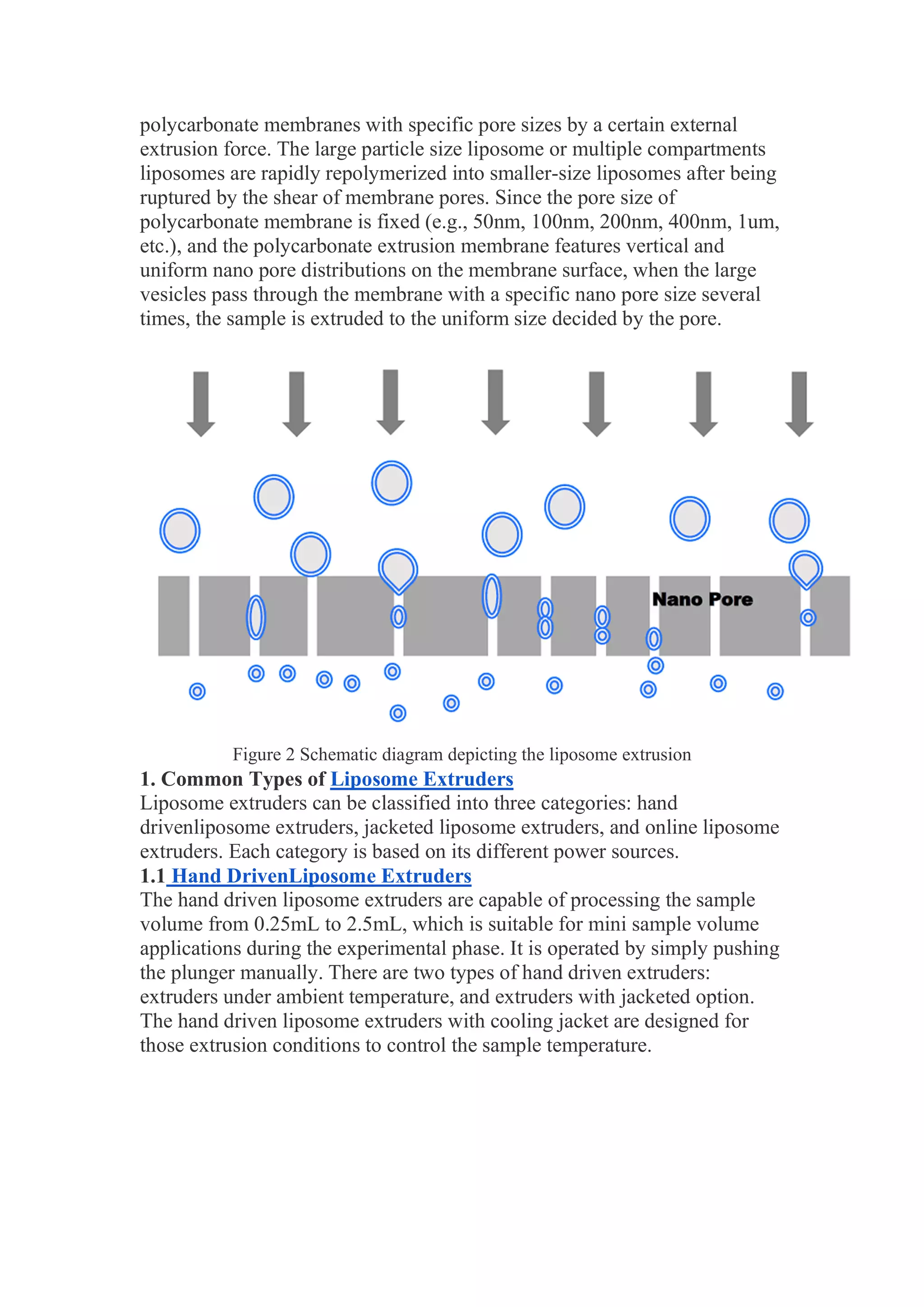What is a liposome Extruder? - working principle -usage | PDF