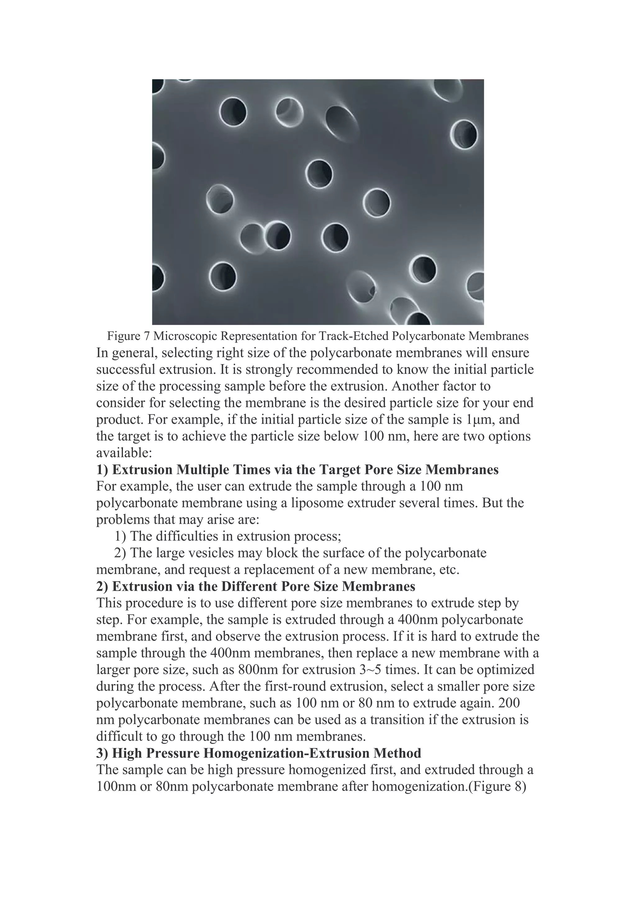 What is a liposome Extruder? - working principle -usage | PDF