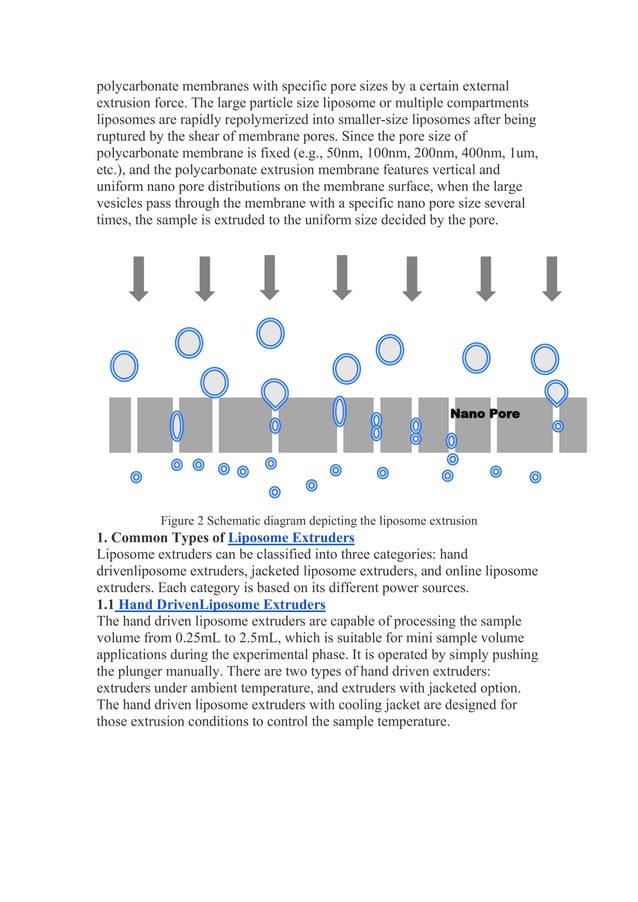 What is a liposome Extruder? - working principle -usage | PDF ...