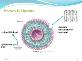 Liposom | PPTX