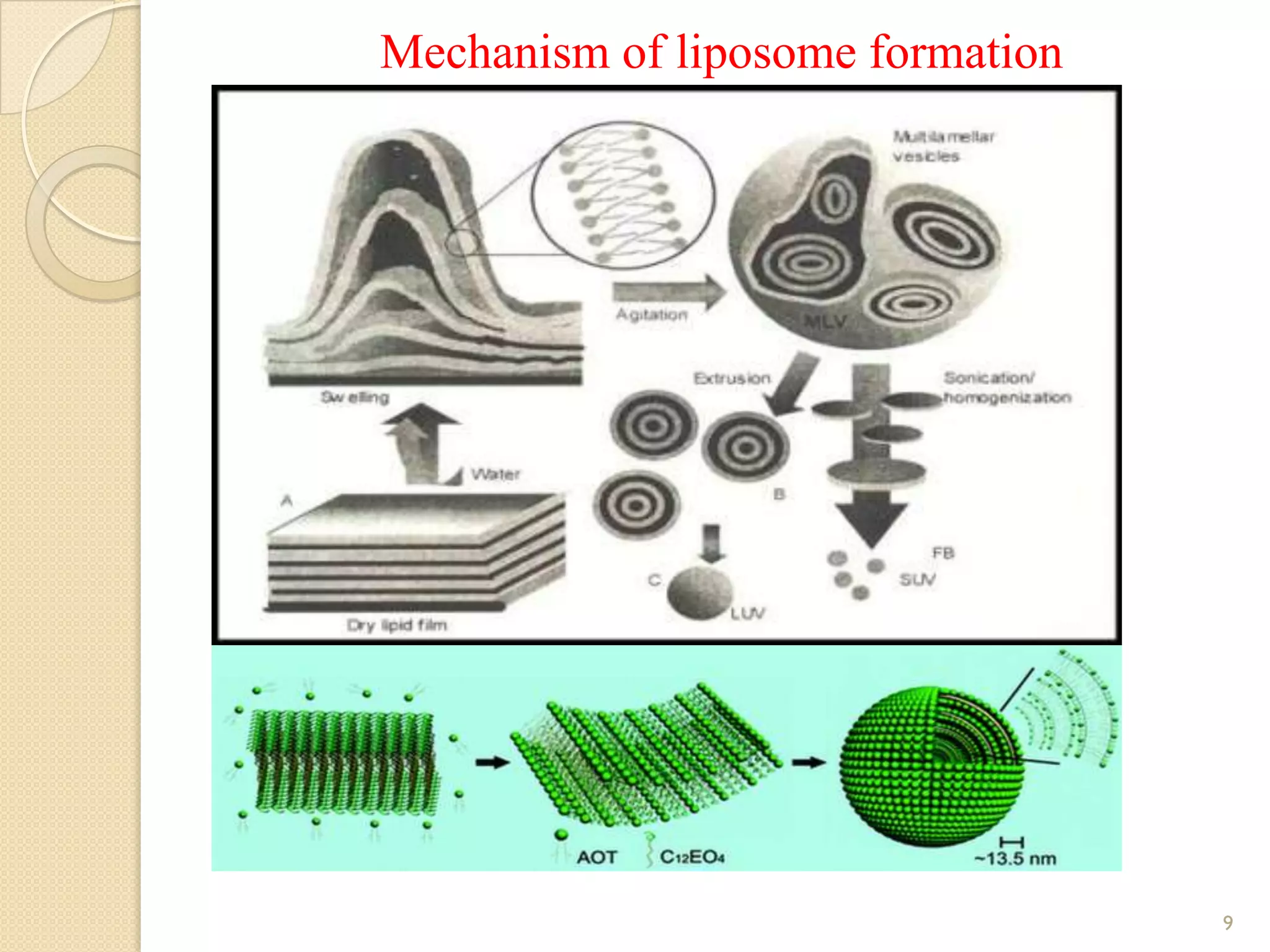 Liposome ppt | PPTX