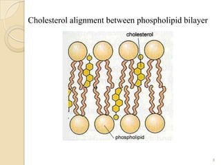 Liposome ppt | PPTX