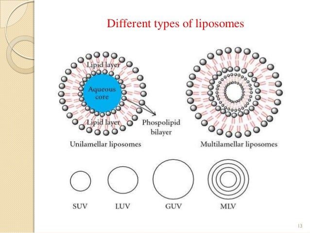 Liposome ppt