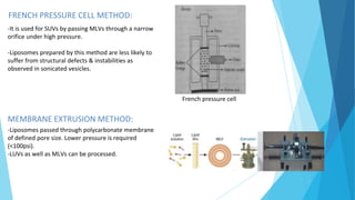Liposome - A novel drug delivery systems, classification and methods of ...