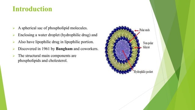 Liposome preparation and evaluation | PPTX | Physics | Science