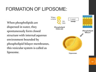 Liposomes and liposomal drug delivery system( recent advancement) | PPTX