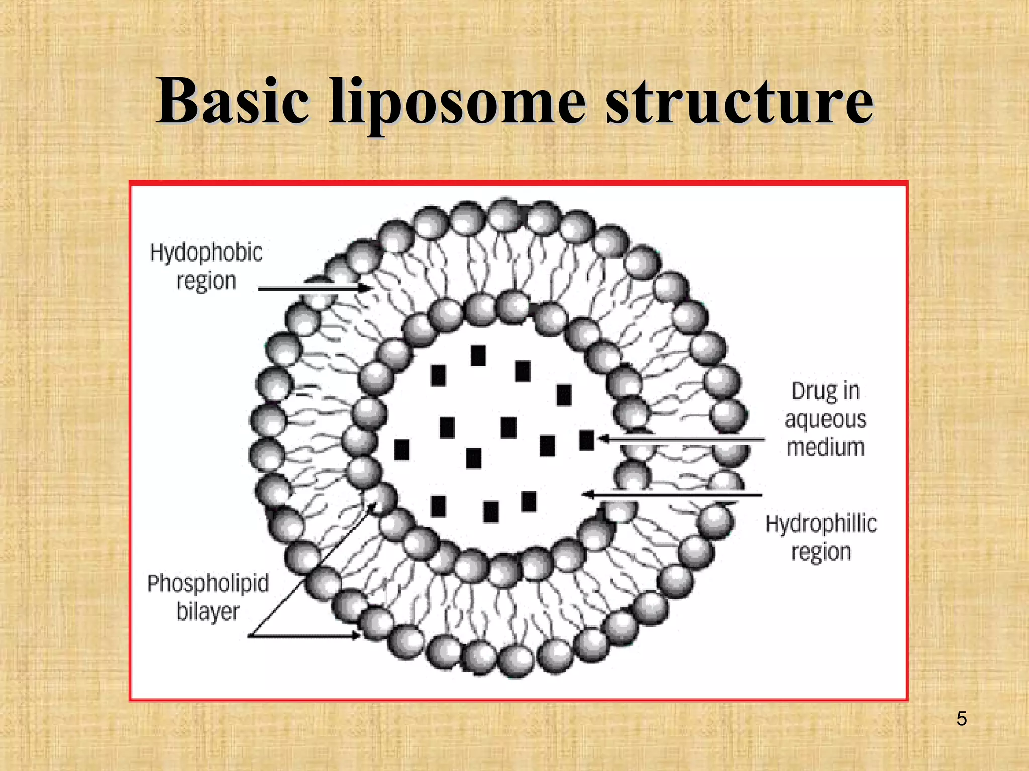 Liposomes | PPT
