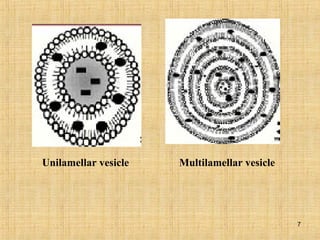Liposomes | PPT
