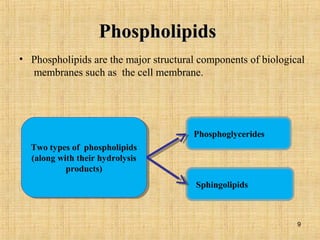 Liposomes | PPT