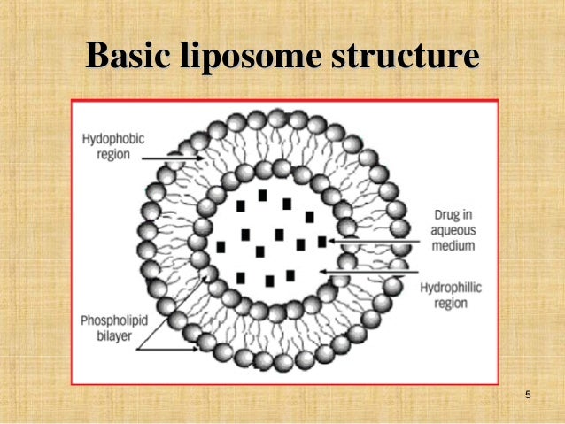 Liposomes