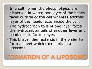 Liposomes | PPTX