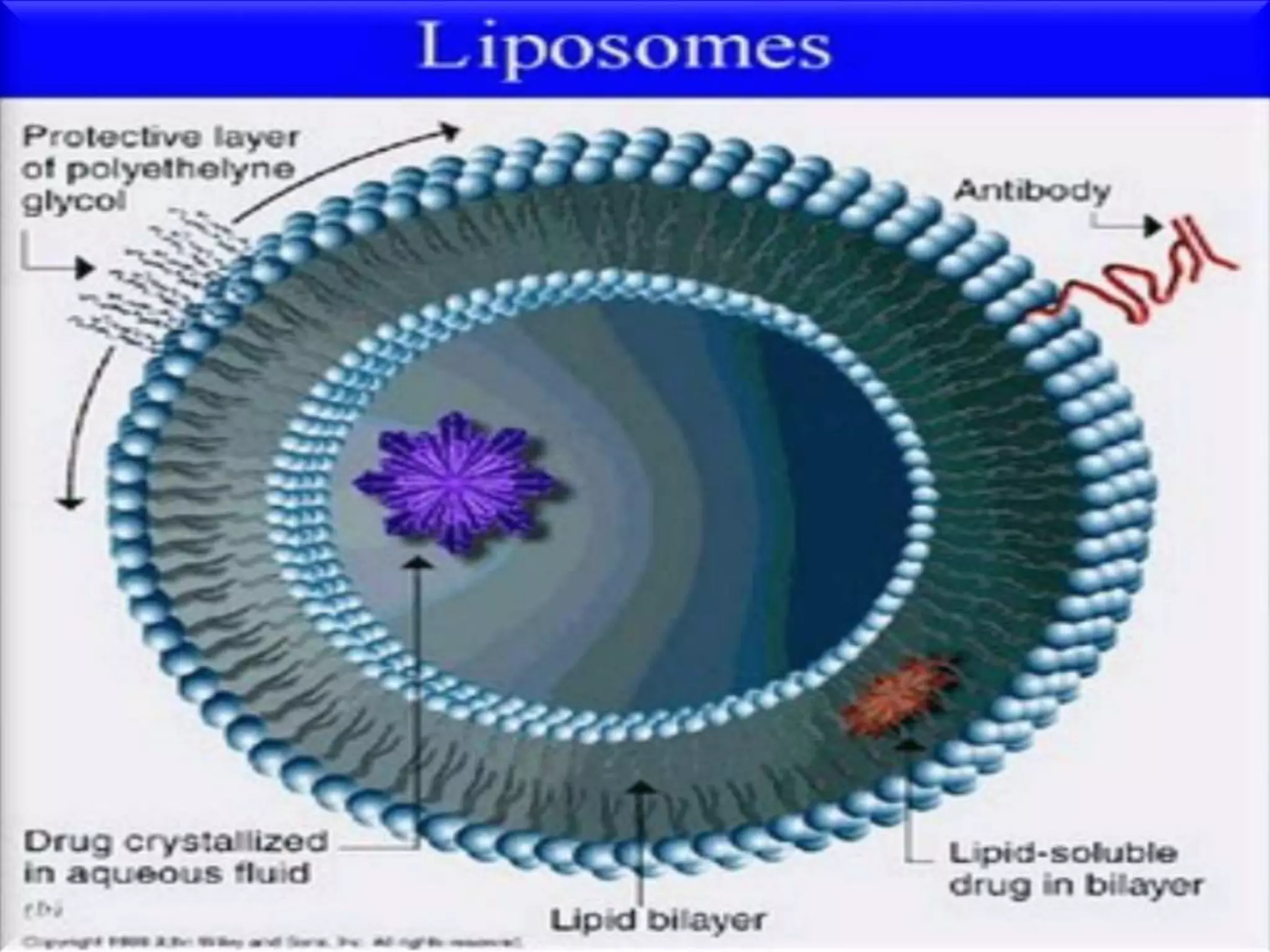 Liposomes | PPTX