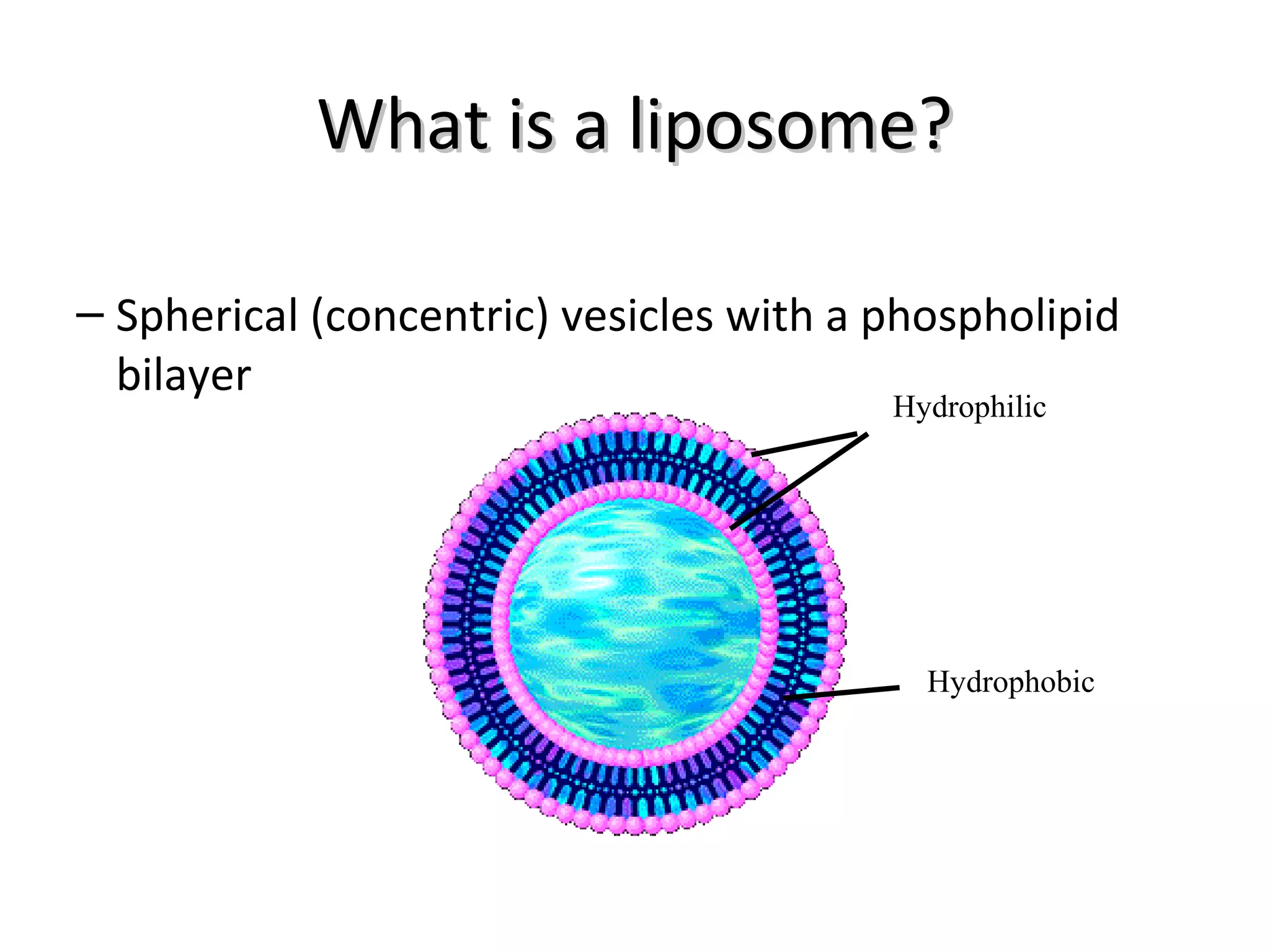 Liposomes-Classification, methods of preparation and application | PPT